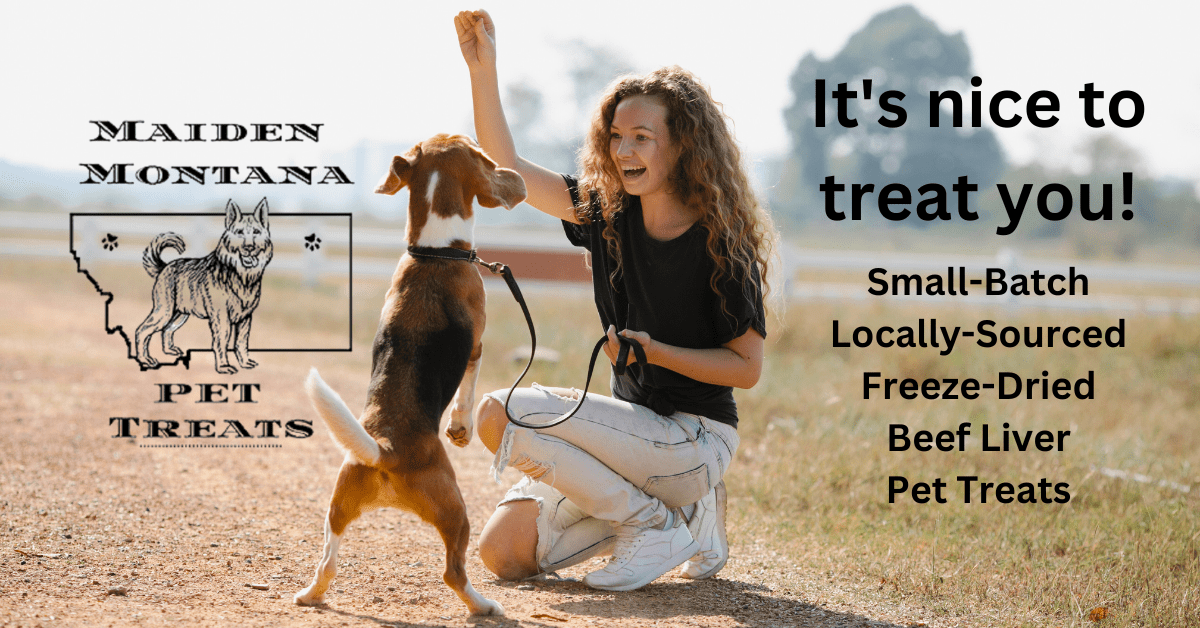 100% Natural Freeze-Dried Treats and Dog Food Flavor Toppers – Maiden ...