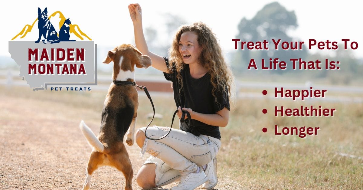 Our Journey to Pet Treats: A Story of Love, Perseverance, and Wellness ...